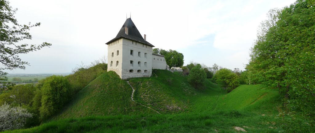 Halych Castle